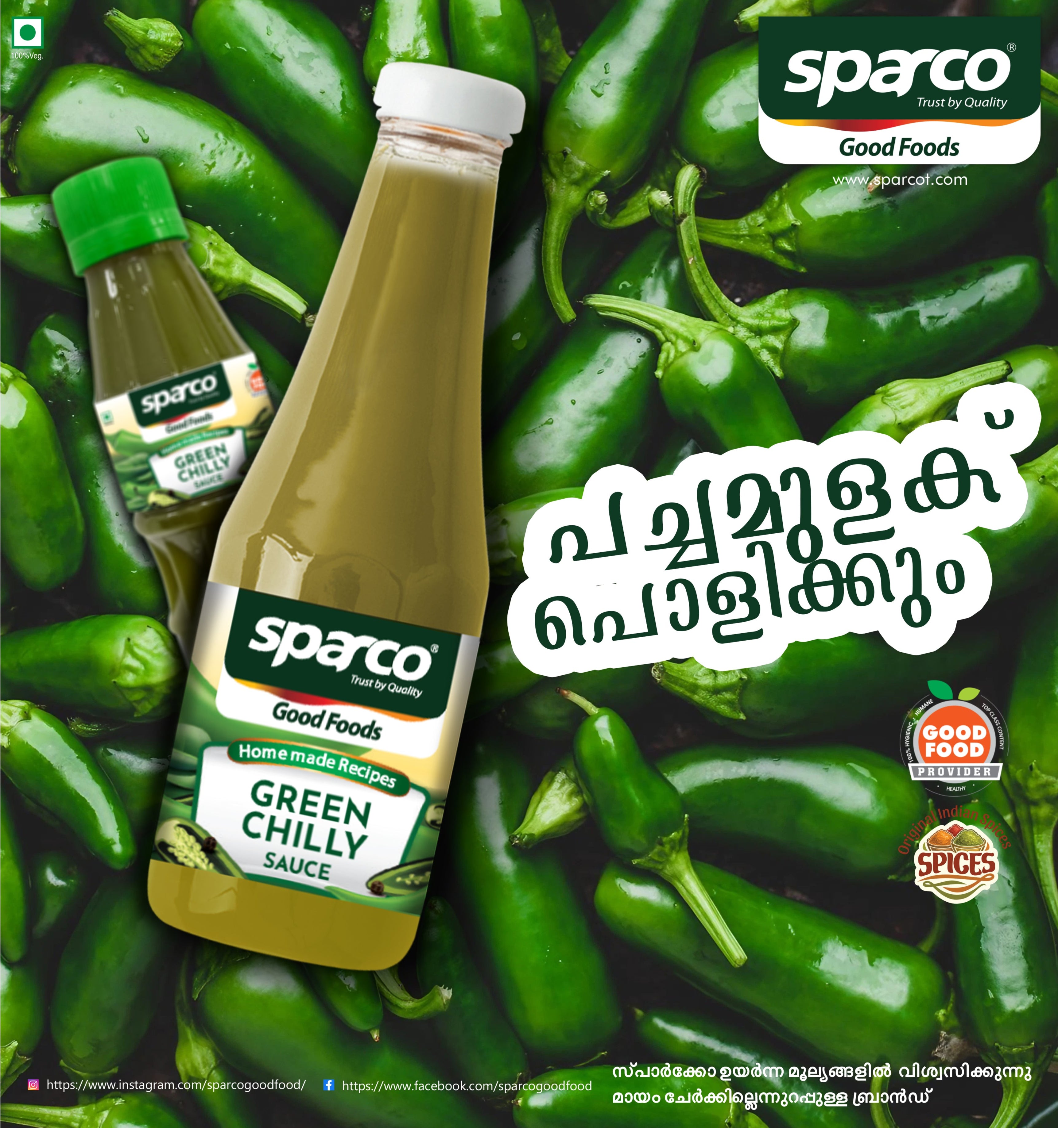 Green chilly sauce – www.sparcofoods.com